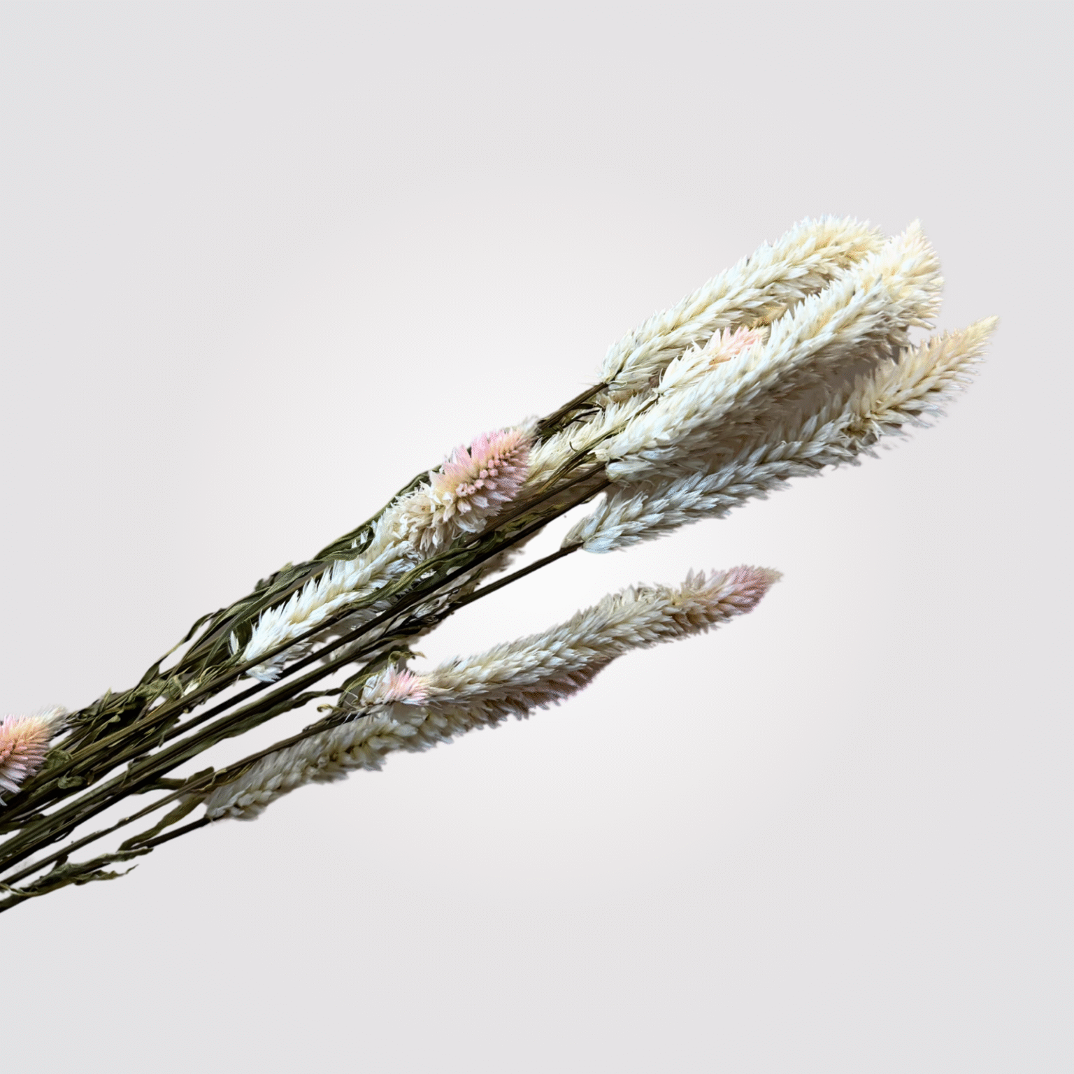 Decorative Flowers Collection - Hyan Living Shop Malaysia